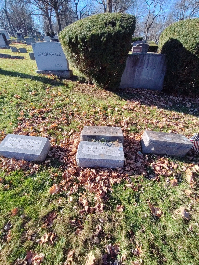 Adolf Strauss (1916 - 1988) / Woodlawn Cemetery