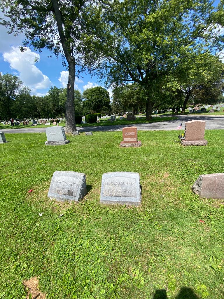 Charles A. Sutphen (1864 - 1944) / Woodlawn Cemetery